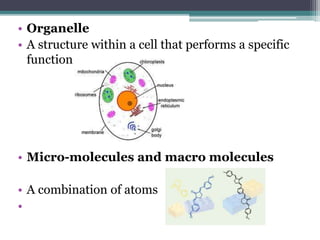 biology-levels of organization | PPTX