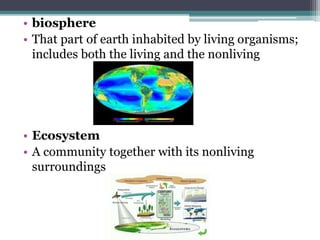 biology-levels of organization | PPTX