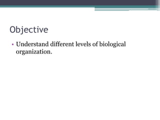 biology-levels of organization | PPT