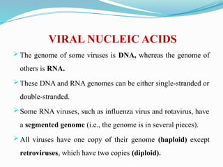 Basic virology viruses their structure and types | PPTX