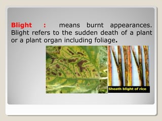 Lecture 1 by dr. vipul kumar | PPT