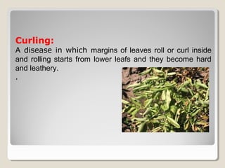 Lecture 1 by dr. vipul kumar | PPT