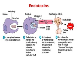 Classification and nomenclature of bacterial toxins | PPT