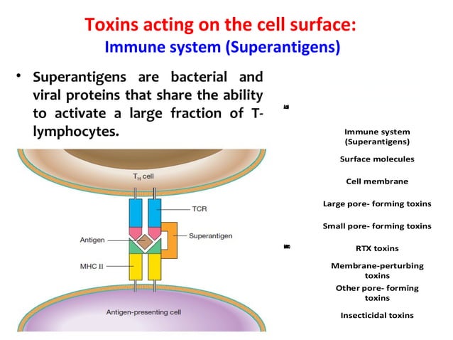 Classification and nomenclature of bacterial toxins | PPT