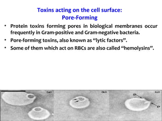 Classification and nomenclature of bacterial toxins | PPT