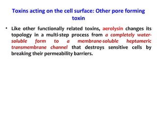 Classification and nomenclature of bacterial toxins | PPT