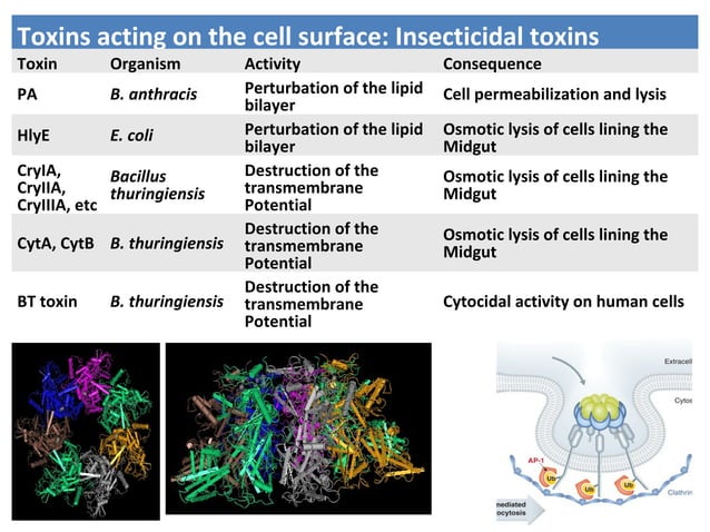Classification and nomenclature of bacterial toxins | PPT