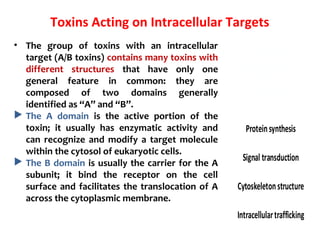 Classification and nomenclature of bacterial toxins | PPT