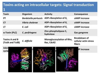 Classification and nomenclature of bacterial toxins | PPT