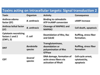 Classification and nomenclature of bacterial toxins | PPT