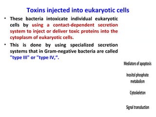 Classification and nomenclature of bacterial toxins | PPT