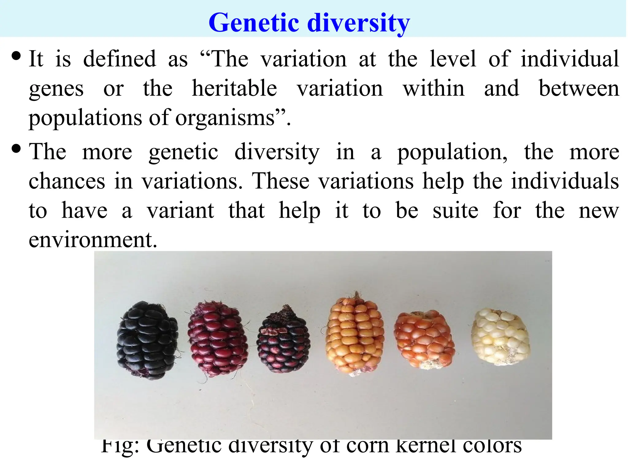BAU concepts of biological diversity.ppt