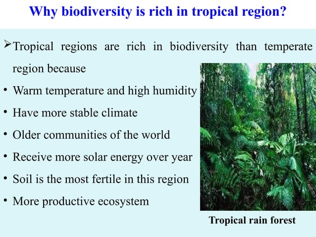 BAU concepts of biological diversity.ppt