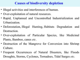 BAU concepts of biological diversity.ppt