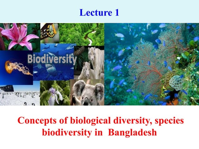 BAU concepts of biological diversity.ppt