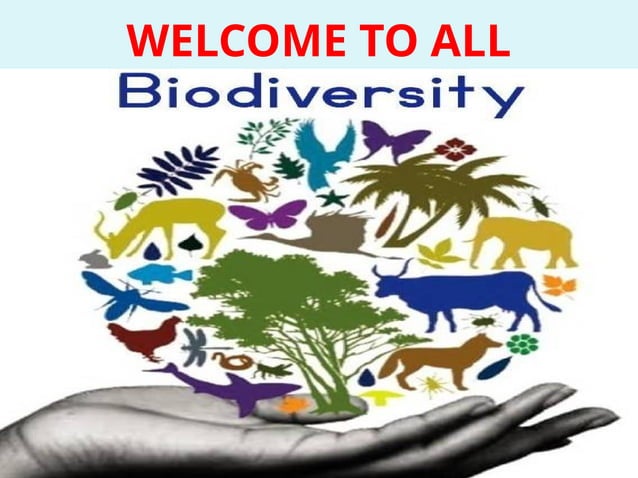 BAU concepts of biological diversity.ppt