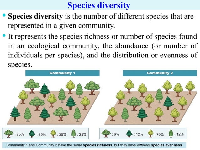 BAU concepts of biological diversity.ppt
