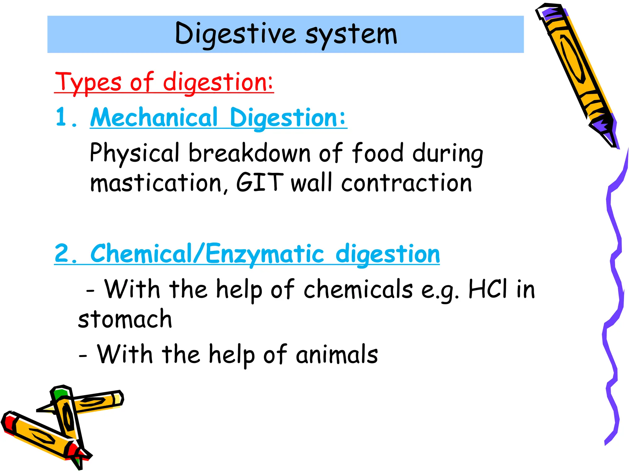 LECTURE-1 Digestion.ppt