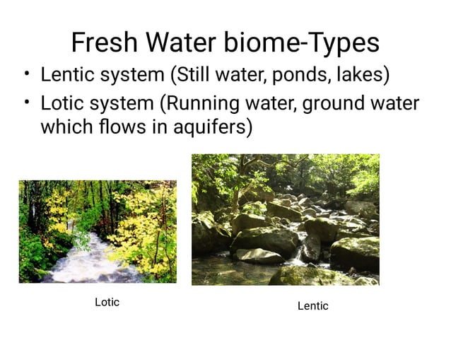( Freshwater Biomes & aqeous environments).pdf