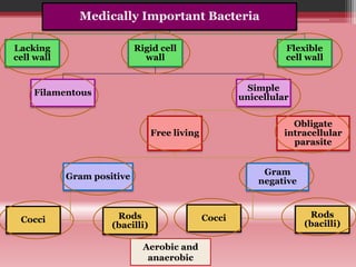 Lecture-1 Introduction to microbiology updated.pptx