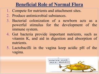 Lecture-1 Introduction to microbiology updated.pptx
