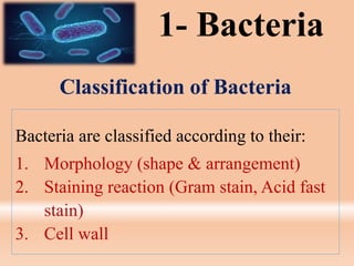 Lecture-1 Introduction to microbiology updated.pptx