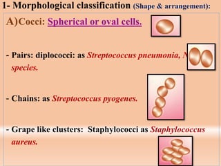 Lecture-1 Introduction to microbiology updated.pptx