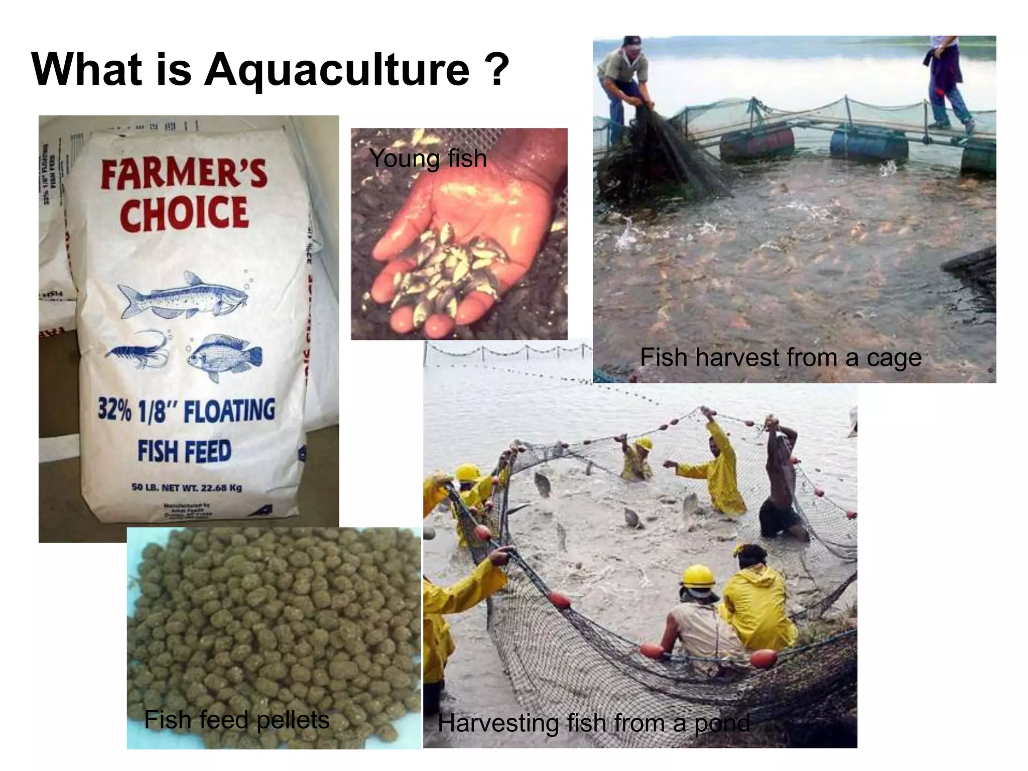 Lecture-1 (Introduction to Principal of Aquaculture).ppt