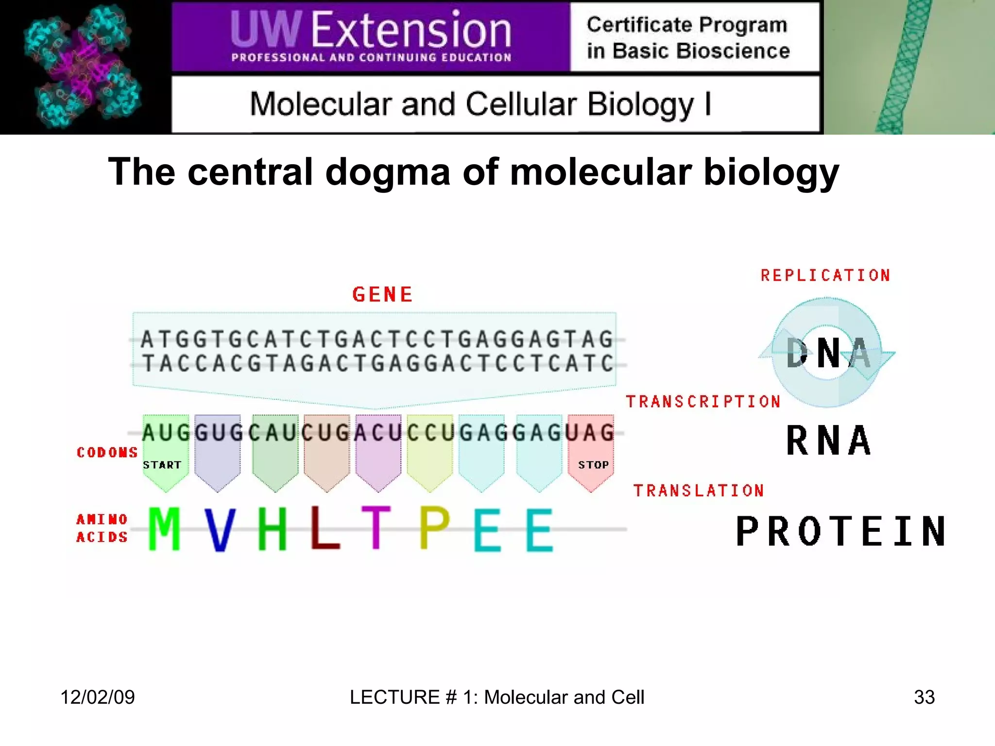 Lecture 1 Molecular And Cellular Biology Overview | PPT