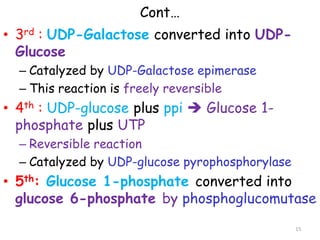 Lecture-1 on CHO Metabolism.pdf