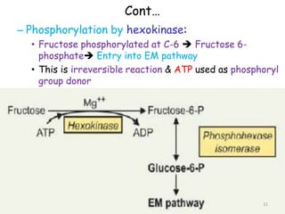 Lecture-1 on CHO Metabolism.pdf