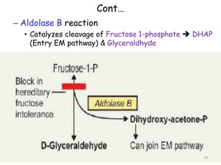 Lecture-1 on CHO Metabolism.pdf