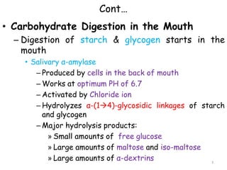 Lecture-1 on CHO Metabolism.pdf