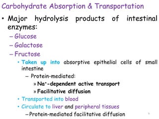 Lecture-1 on CHO Metabolism.pdf
