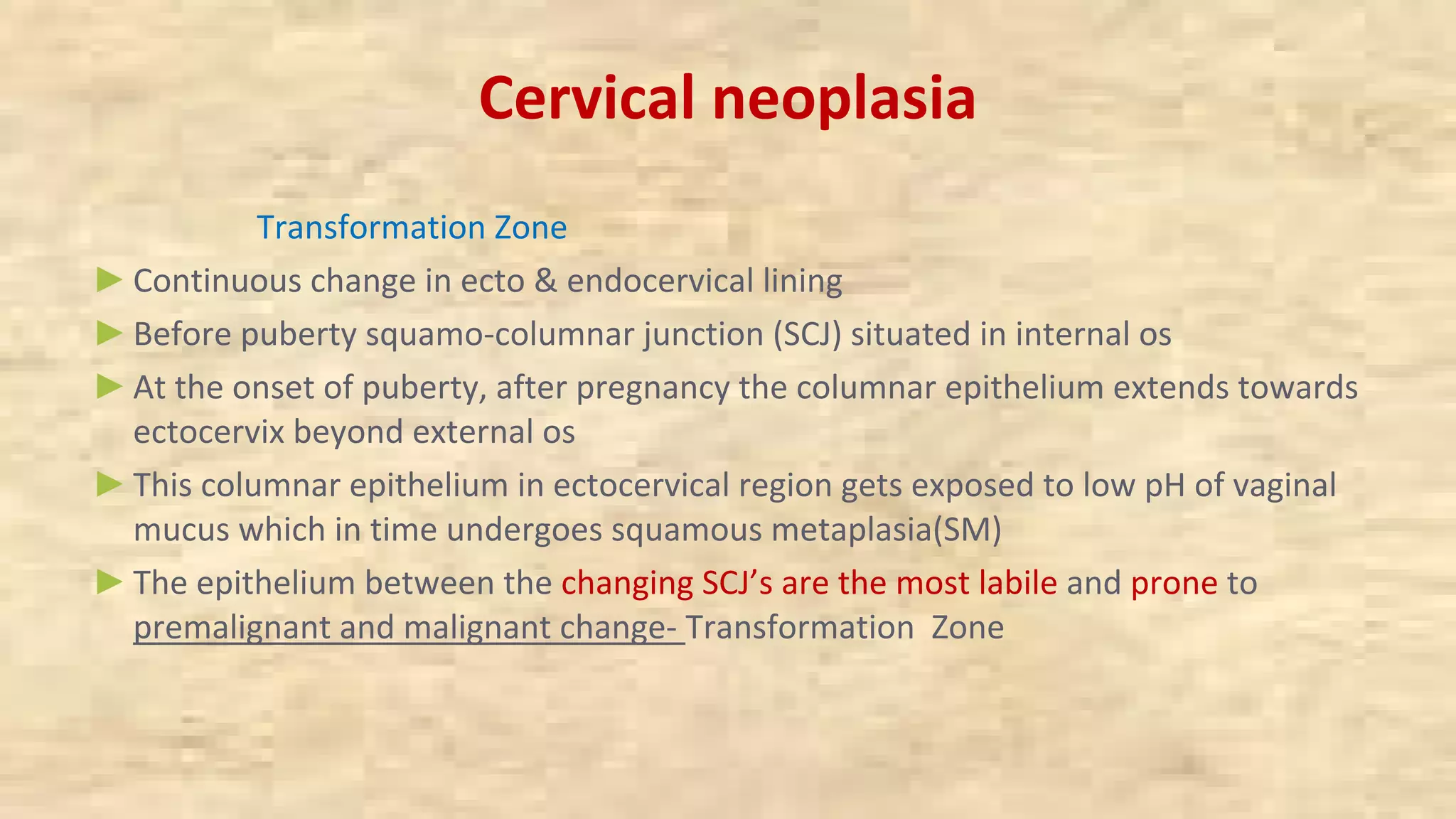Lecture 1 Pathology: Cervix pdf | PDF