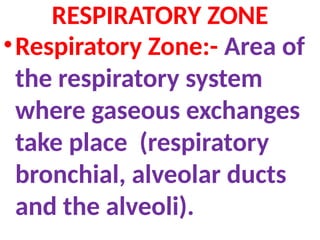 LECTURE - 1 RESPIRATORY PHYSIOLOGY COMPETENCY BASED CURRICULUM (2023-24 ...