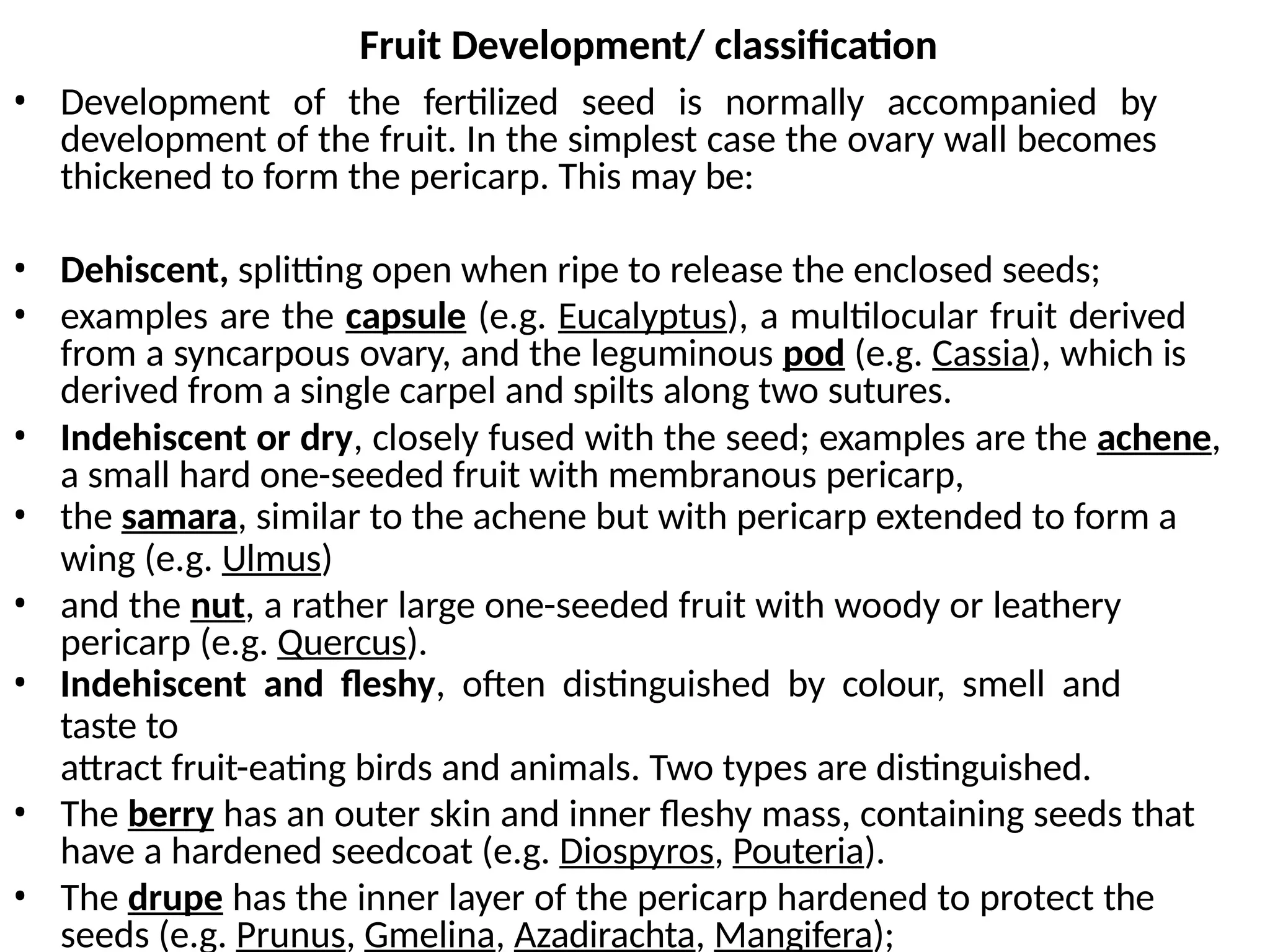 Tree seed technology and improvement.ppt