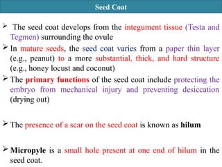Tree seed technology and improvement.ppt