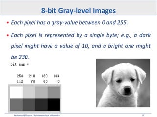 Graphics and image data representtion l3 | PPT