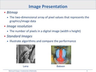Graphics and image data representtion l3 | PPT