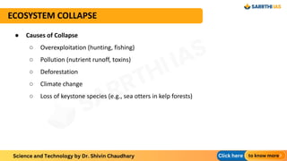 Lecture-2---Ecosystem---Class-Notes----- | PDF