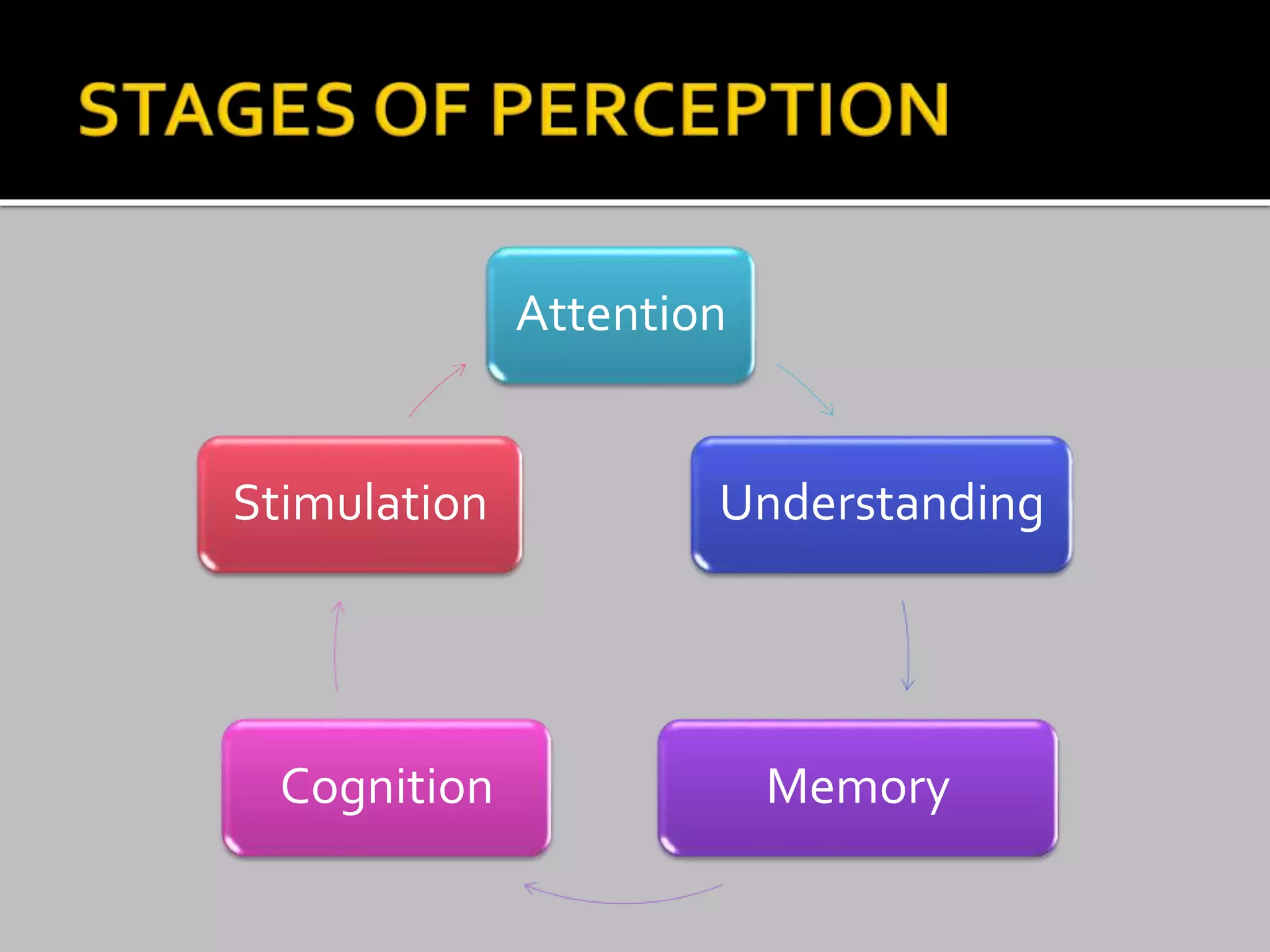 perception- Meaning, Definition, Stages, Factors | PPTX