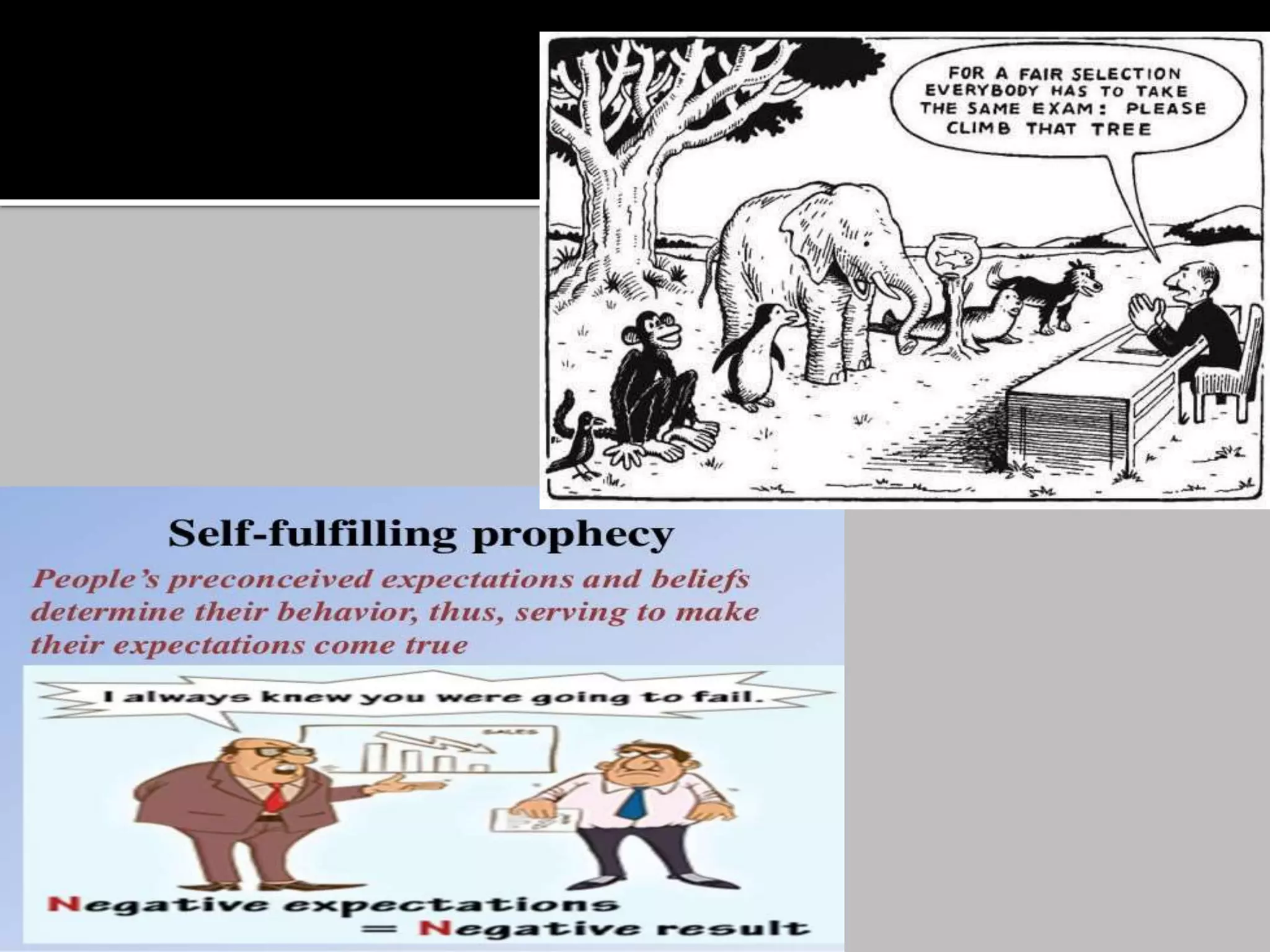 perception- Meaning, Definition, Stages, Factors | PPTX