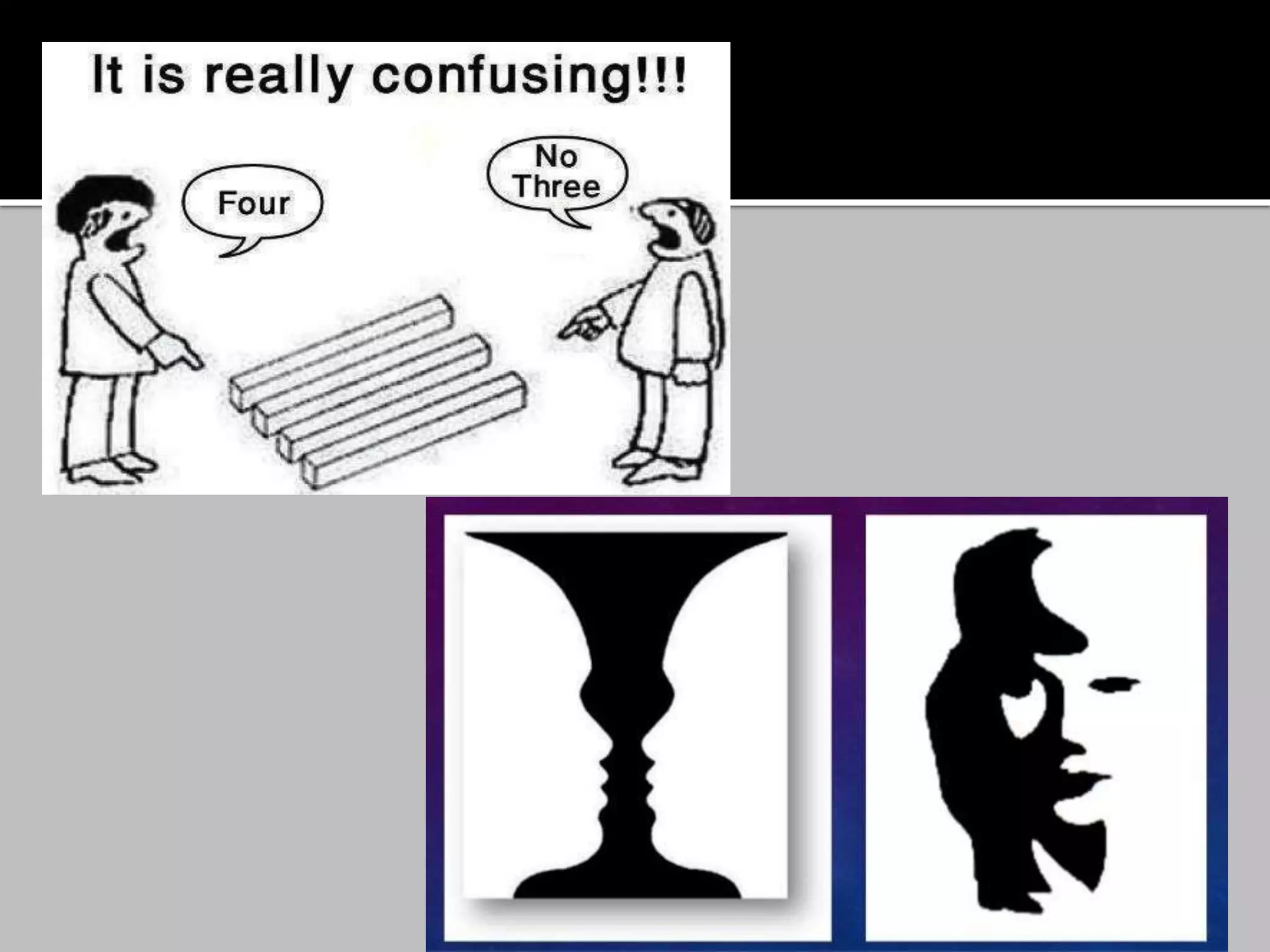 perception- Meaning, Definition, Stages, Factors | PPTX