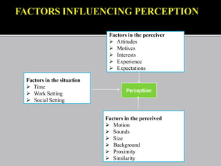perception- Meaning, Definition, Stages, Factors | PPTX