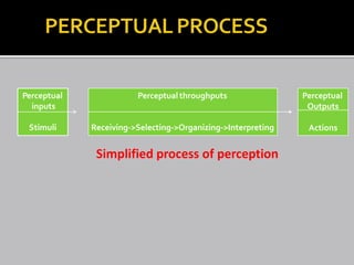 perception- Meaning, Definition, Stages, Factors | PPTX