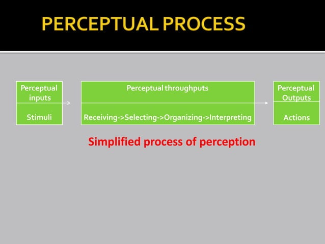 perception- Meaning, Definition, Stages, Factors | PPTX
