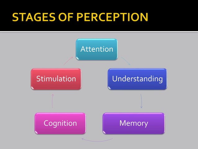 perception- Meaning, Definition, Stages, Factors | PPTX