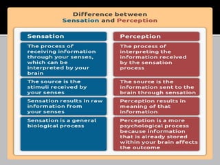 perception- Meaning, Definition, Stages, Factors | PPTX