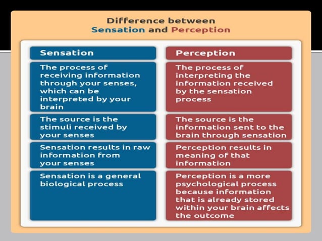 perception- Meaning, Definition, Stages, Factors | PPTX